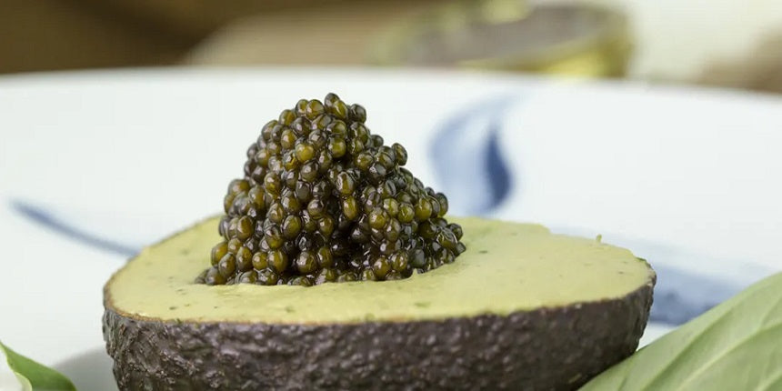 Experience Luxury Fusion: Avocado and Sturgeon Caviar Recipe – STUR CAVIAR