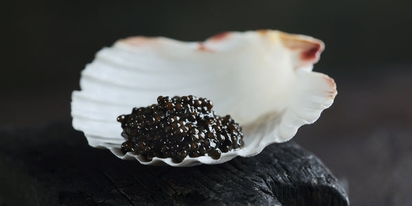The Science of Caviar: What Makes Each Pearl a Gourmet Masterpiece ...