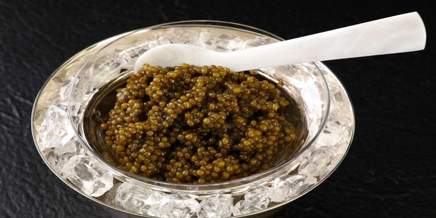 Osetra vs Ossetra vs Oscietra: Understanding the Differences – STUR CAVIAR
