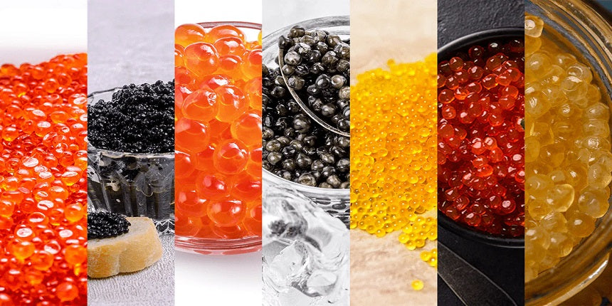 Caviar Color: What is the Role of Color in Caviar? – STUR CAVIAR