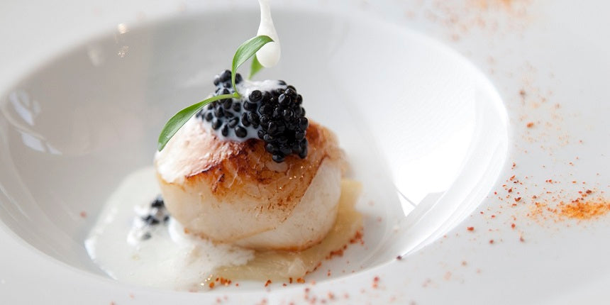 Top 10 Scallops and how to prepare it? – STUR CAVIAR